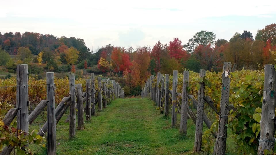 Spare Key Winery Charlevoix MI