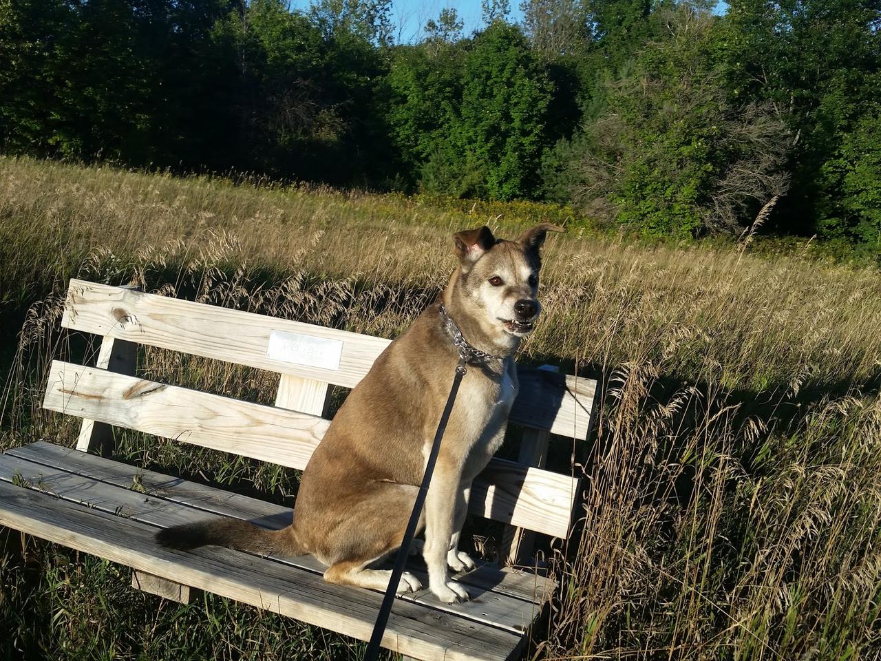 Nathan "Barry" Driggers Nature Preserve
