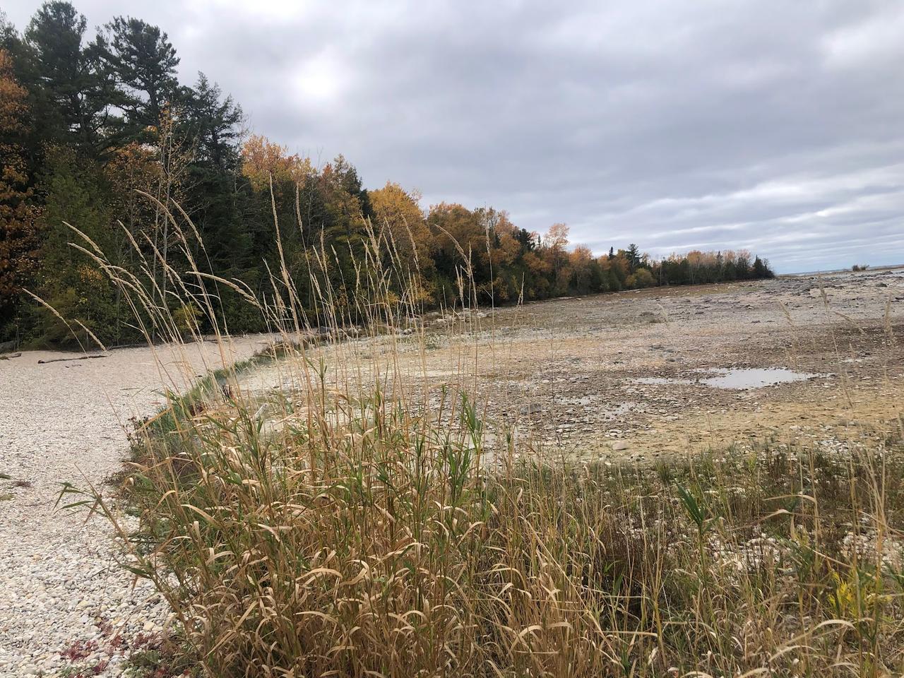 North Point Nature Preserve | Visit Charlevoix, Michigan | Charlevoix ...