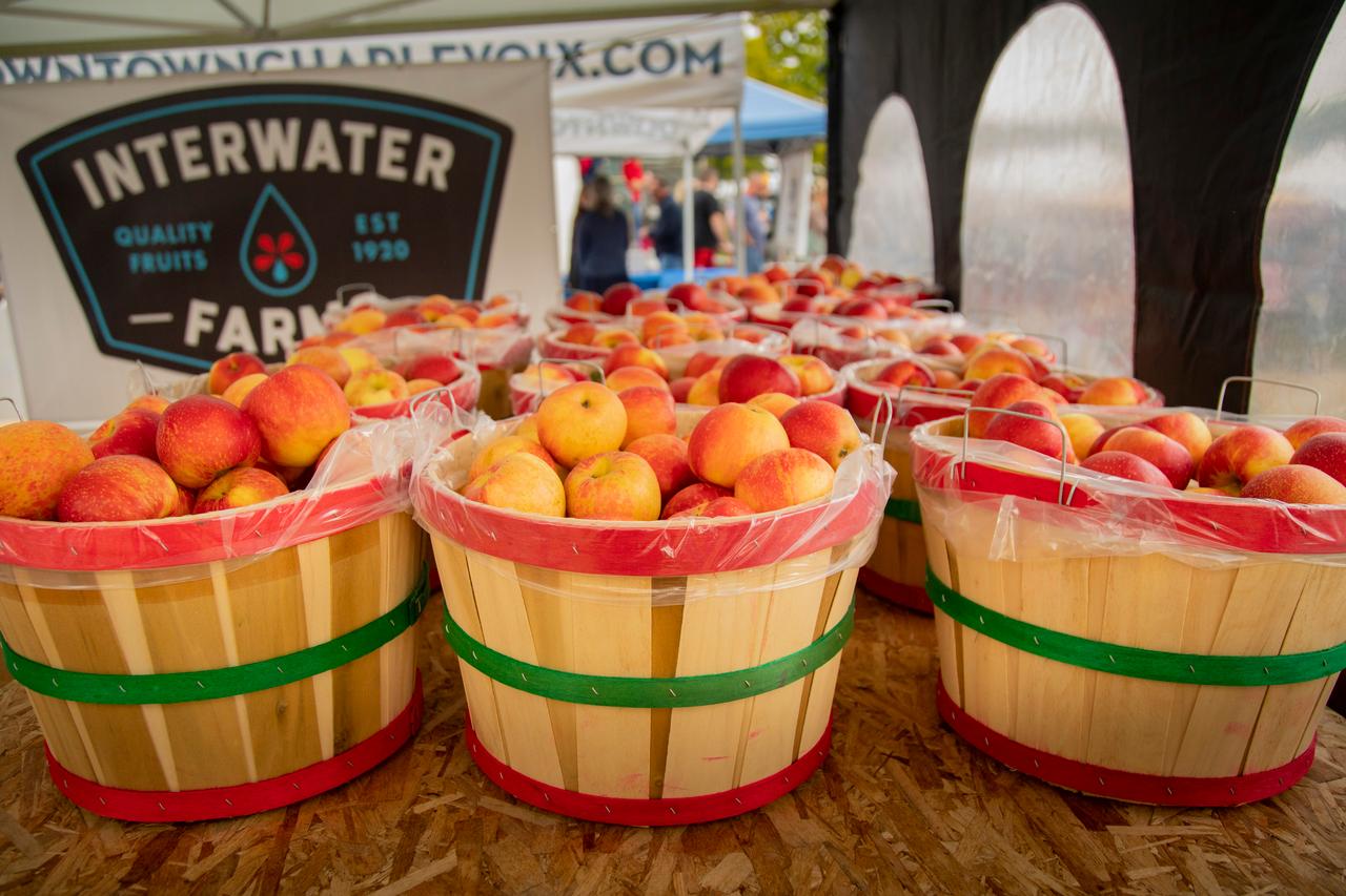 Apple fest store
