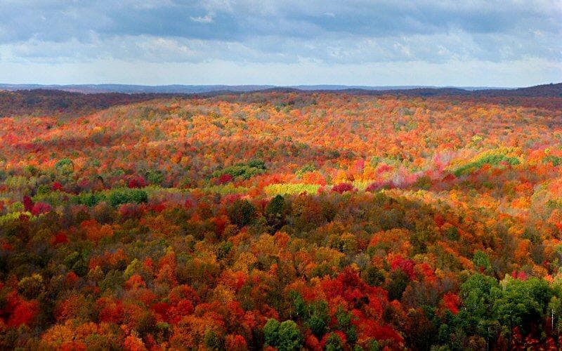 Jordan Valley Pathway