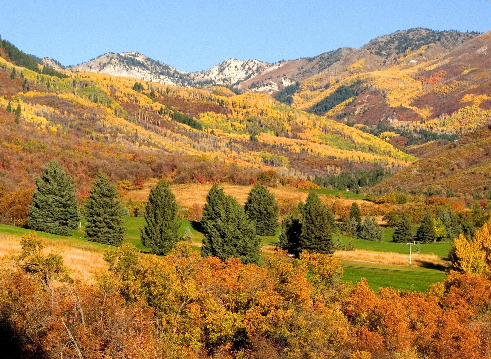 Wasatch Mountain State Park - Mountain Course - Heber Valley