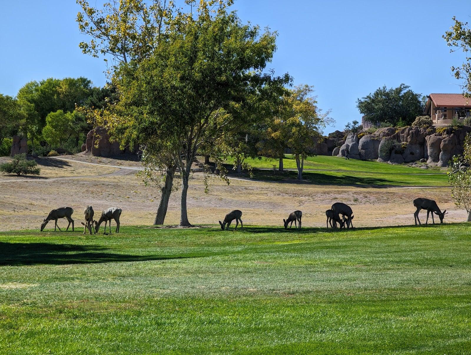 Cerbat Cliffs Golf Course - Kingman Tourism