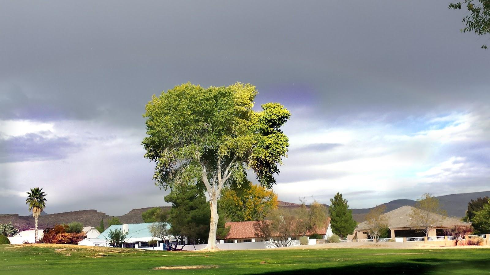 Cerbat Cliffs Golf Course - Kingman Tourism