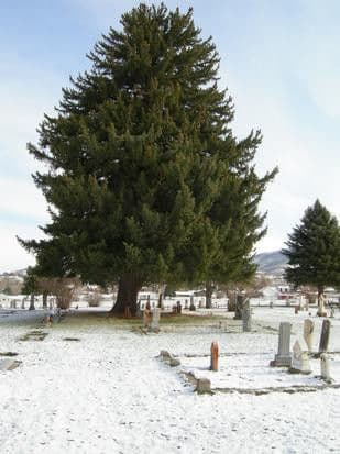 Heber City Cemetery