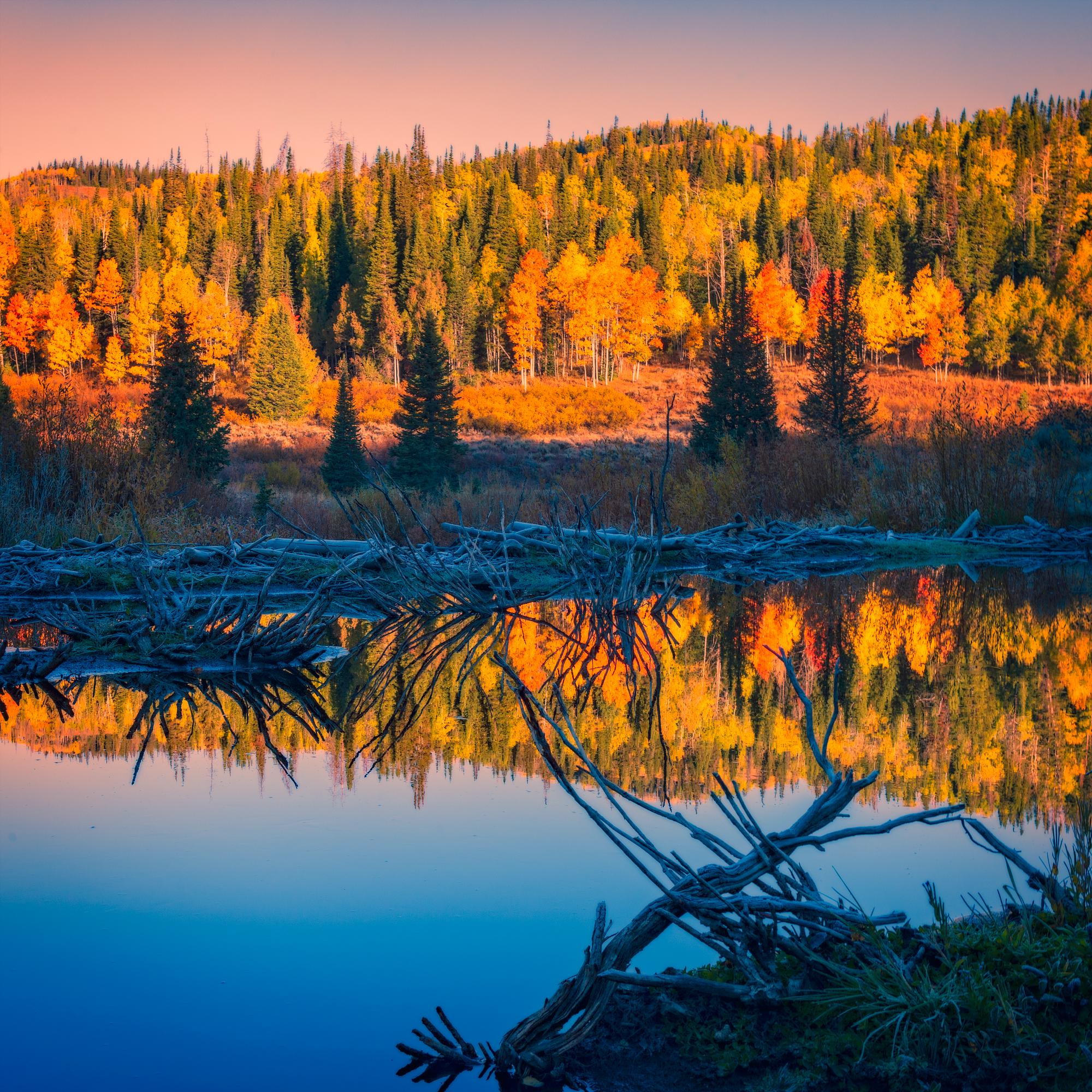 Fall Festivities - Heber Valley, Utah