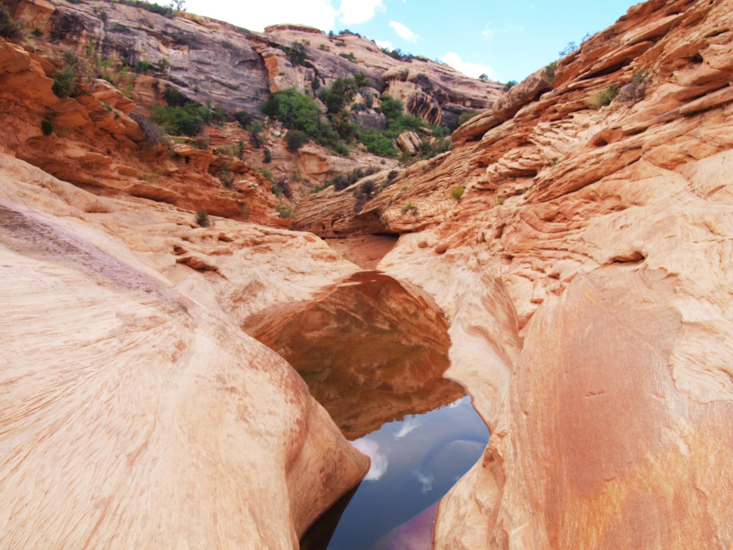 Natural Bridges National Monument Utah