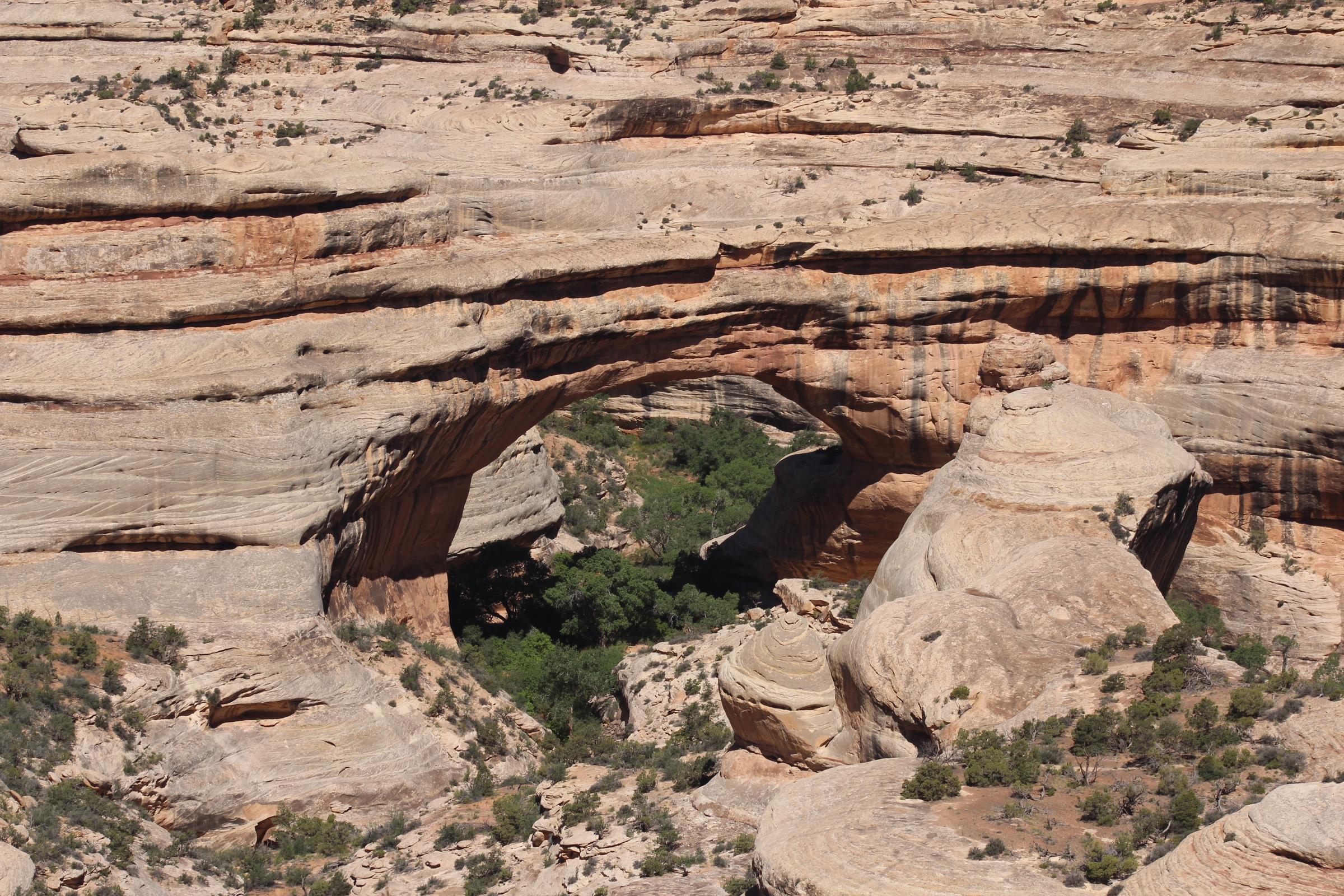 Natural Bridges National Monument Utah