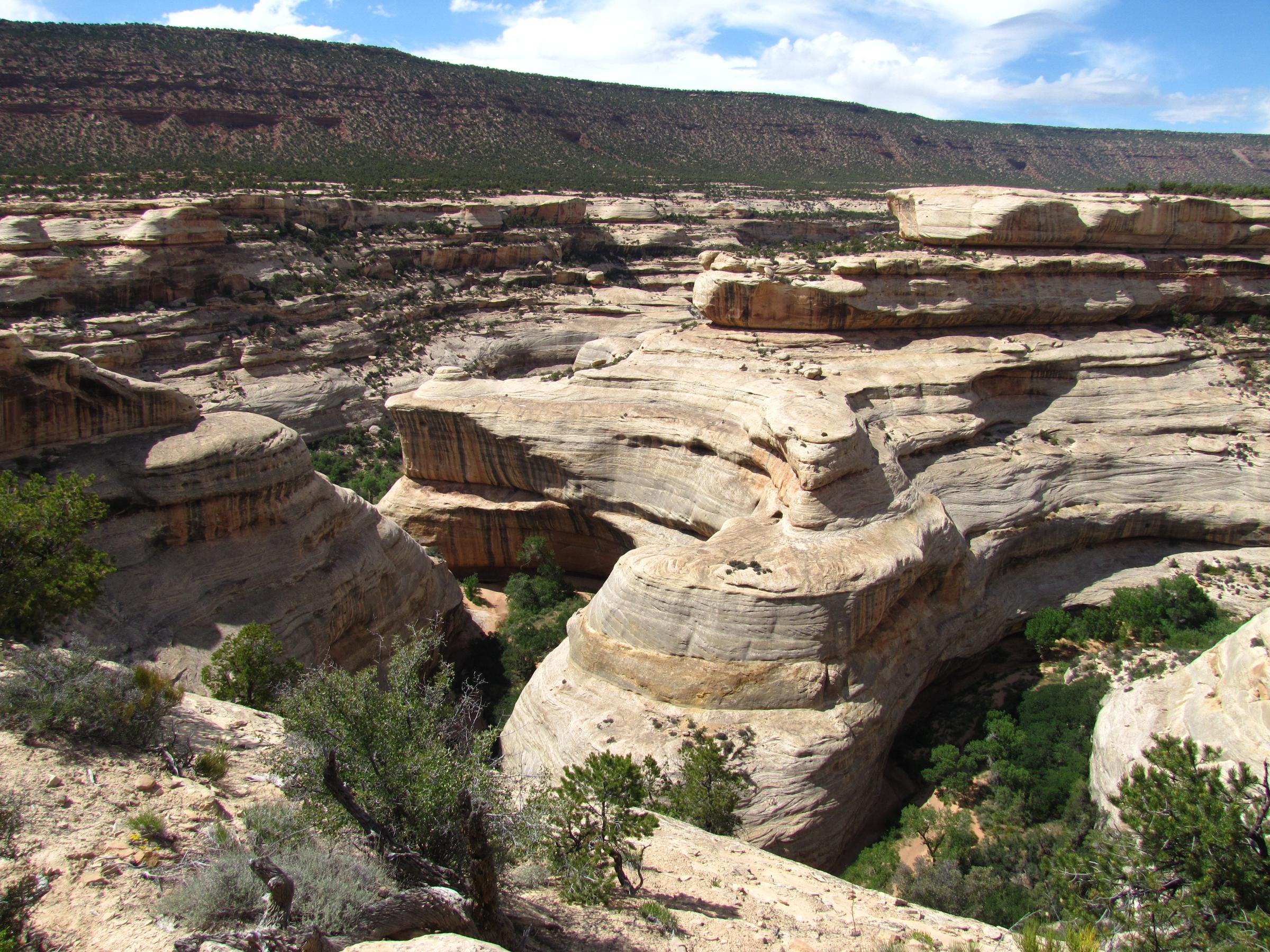 Natural Bridges National Monument Utah