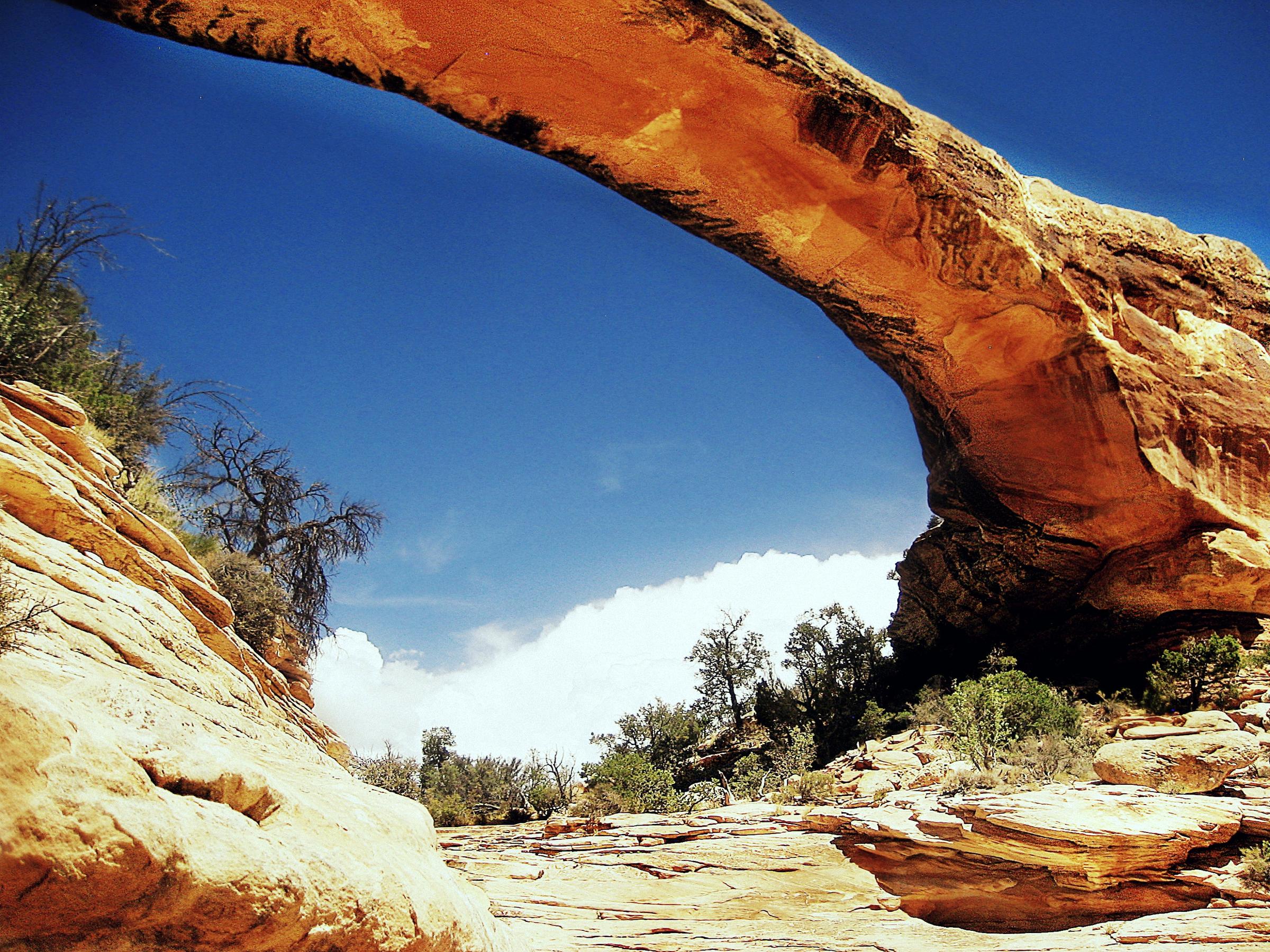 Natural Bridges National Monument Utah