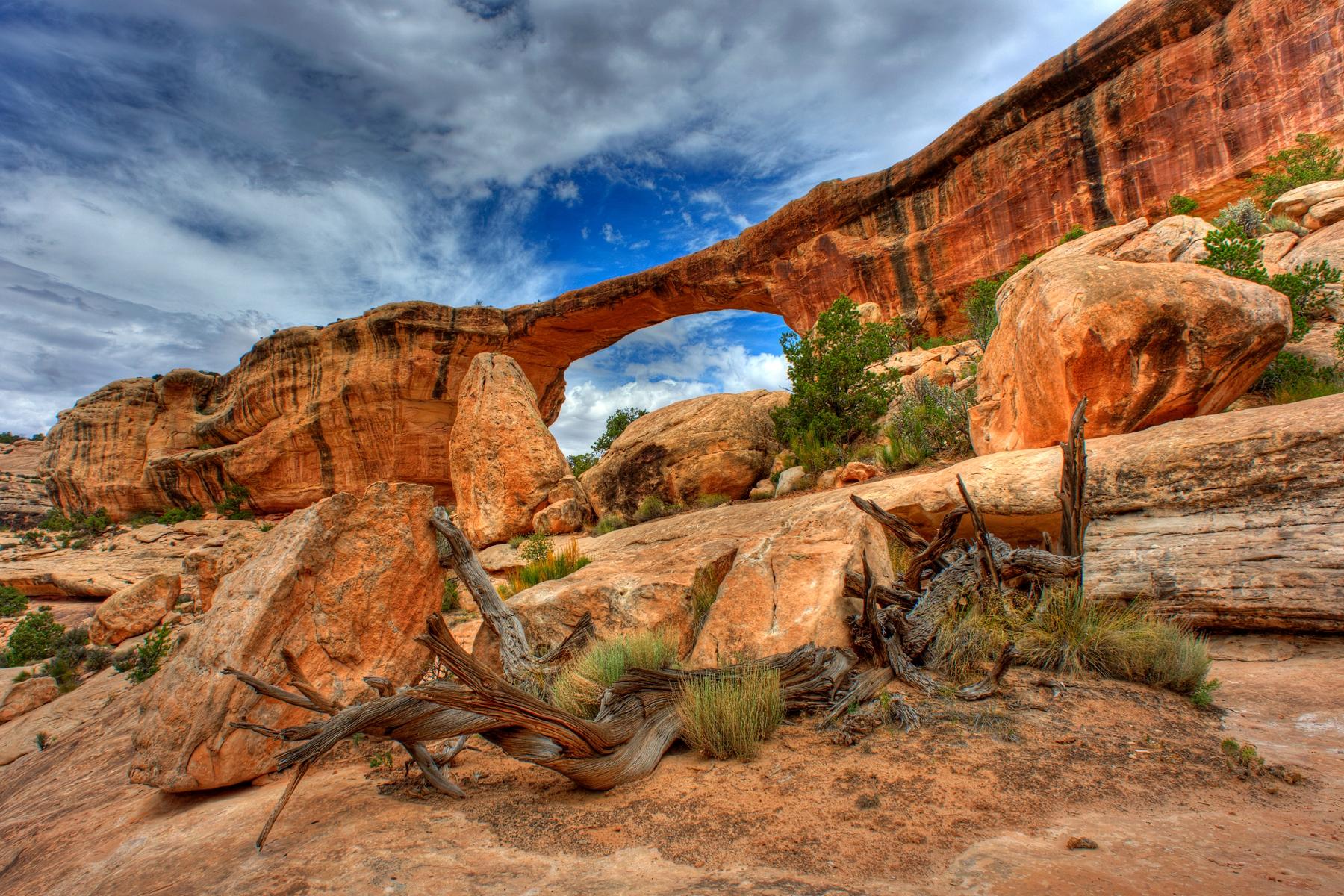 Natural Bridges National Monument Utah