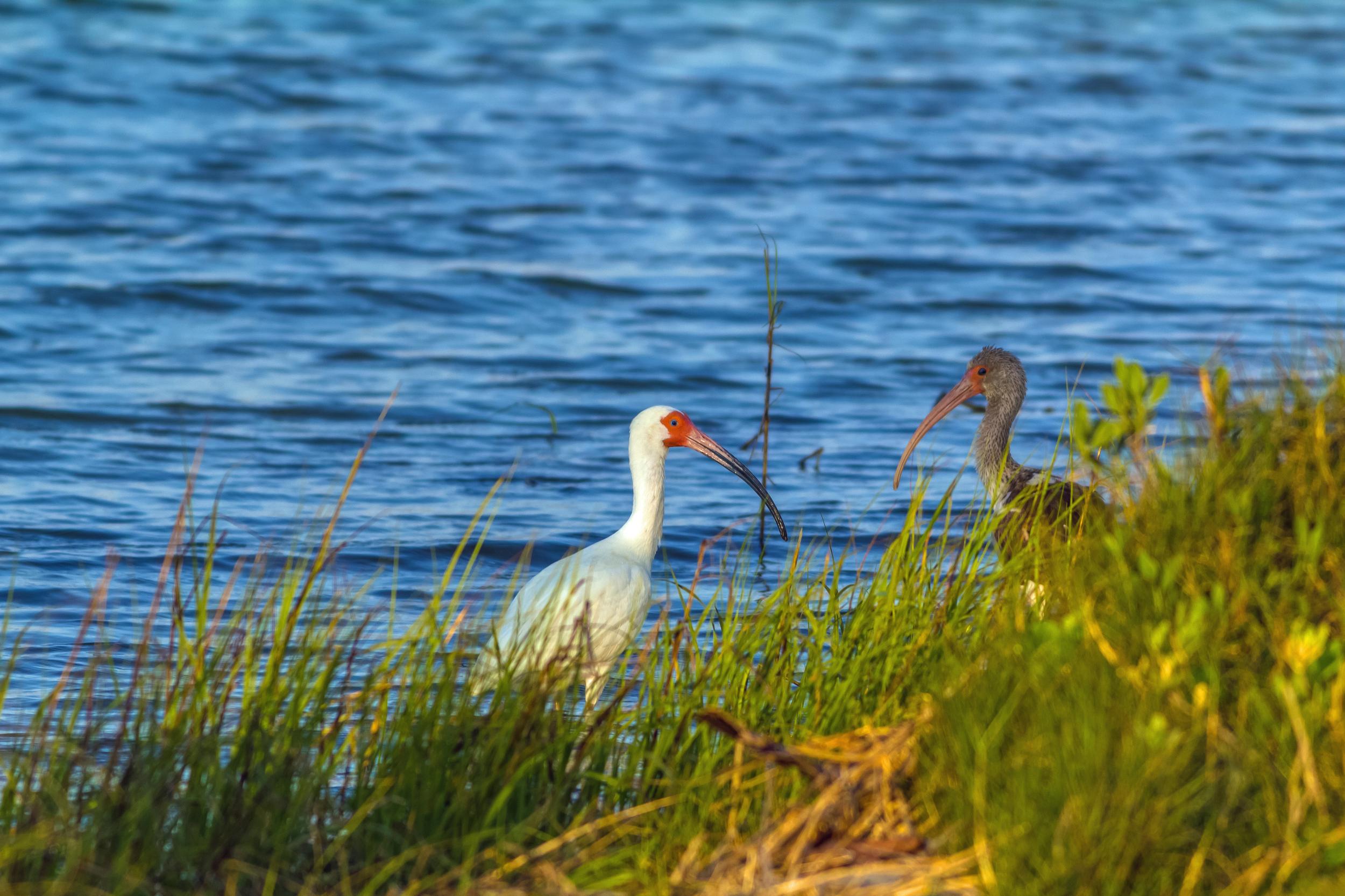 The Inn at Fulton Harbor: Your Coastal Escape