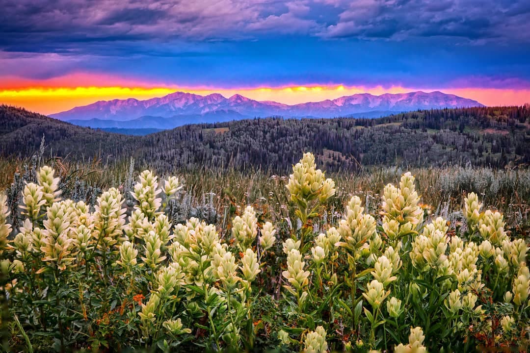 Summer in Heber Valley - Heber Valley, Utah