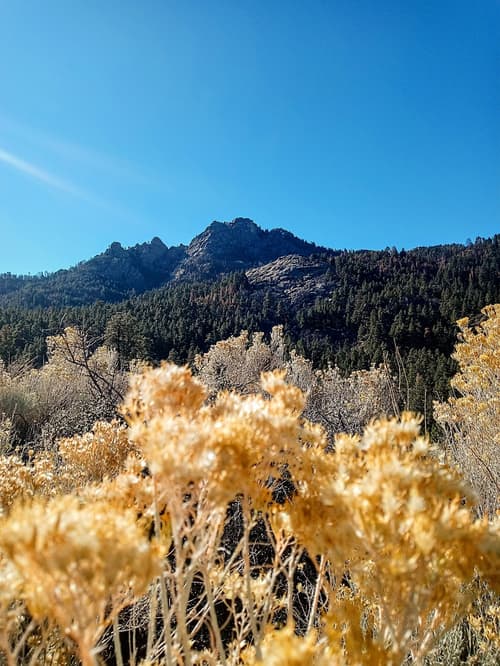 Hualapai Mountain Park - Kingman Tourism