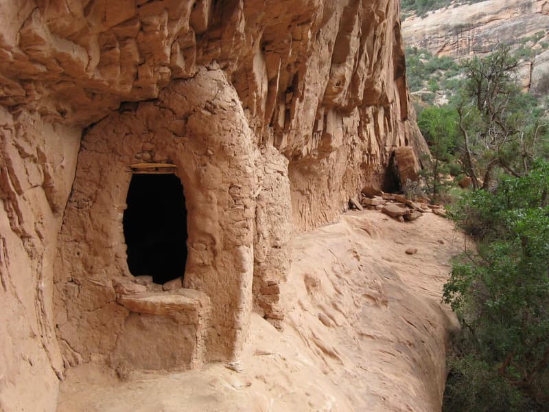 Grand Gulch Primitive Area | Explore Ancient Ruins