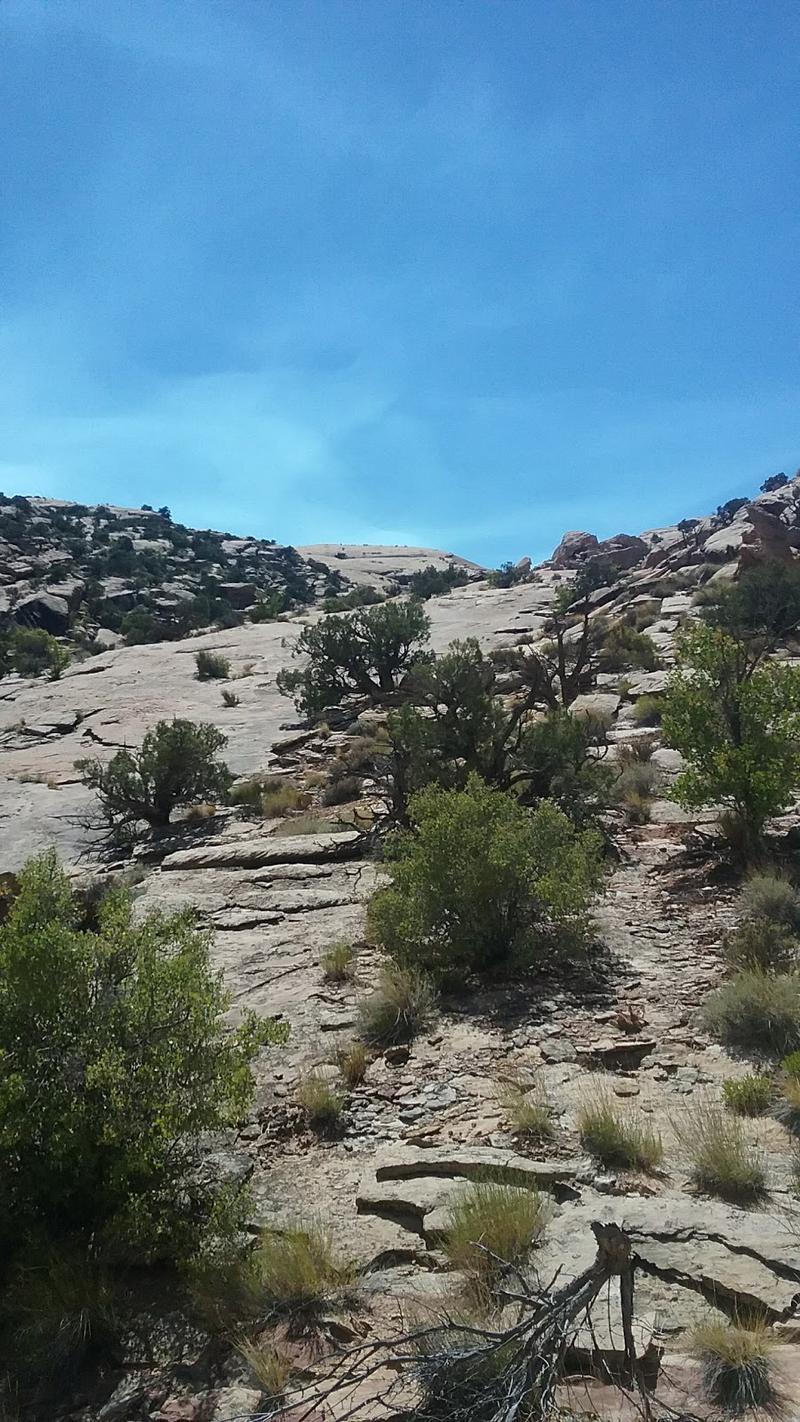 Utah's Canyon Country - Comb Wash
