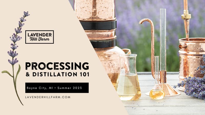 Processing & Distillation 101 Workshop at Lavender Hill Farm