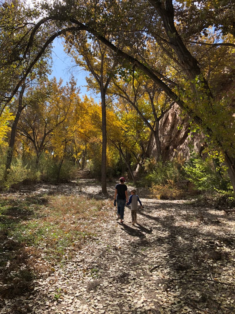 Upper Sand Island Trail