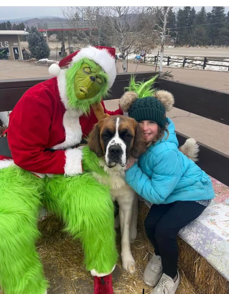 Hayrides with Santa and the Grinch