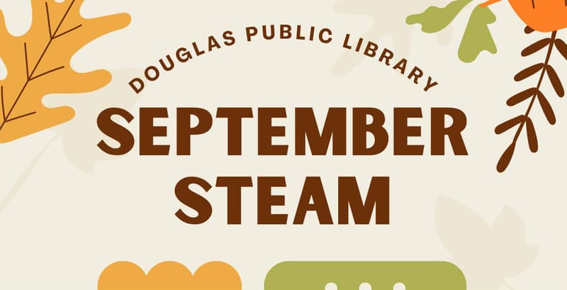 douglas public library steam