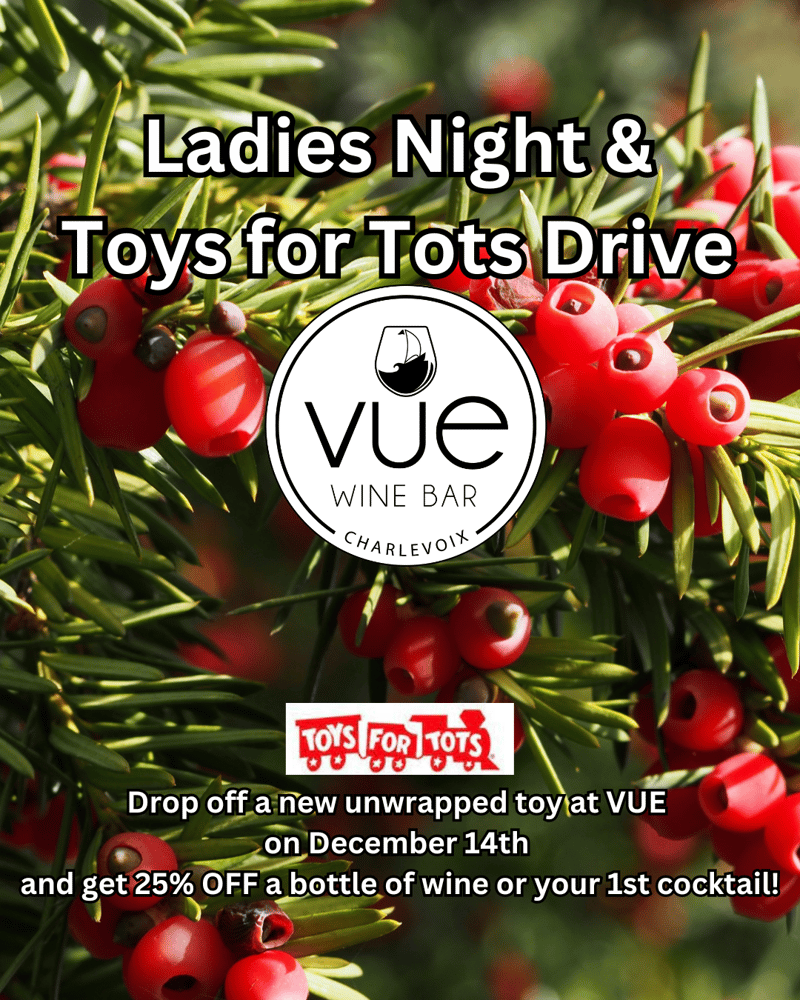 Ladies Night & Toys for Tots Drive at VUE